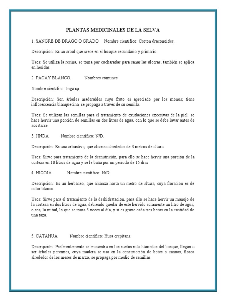 Plantas Medicinales de La Selva | PDF | Arboles | Plantas