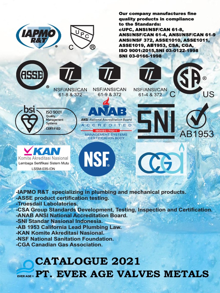 Catalogue 2021: Pt. Ever Age Valves Metals | PDF