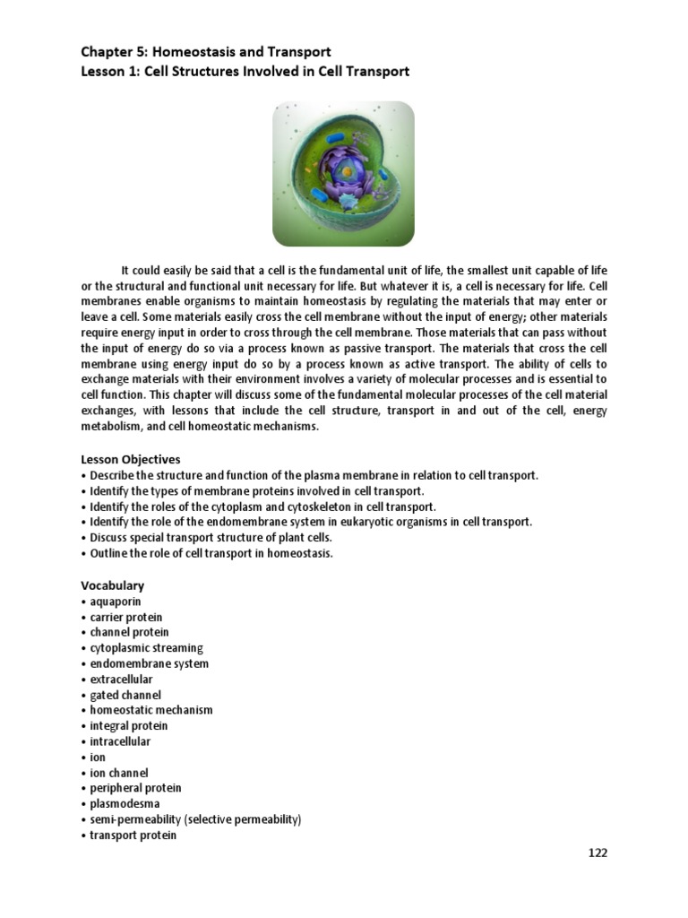Chapter 5 Lesson 1-Cell Structures Involved in Transport | PDF ...