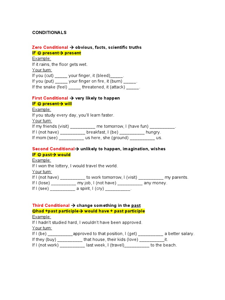 Conditional Sentences Guide | PDF