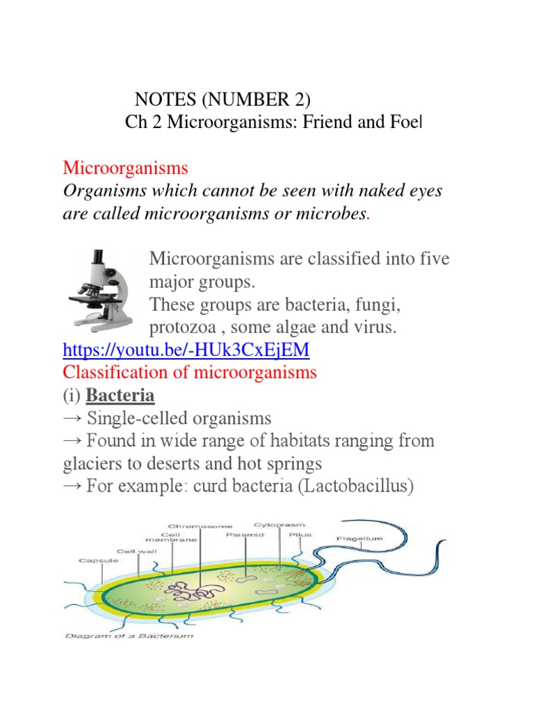 Notes of CH 2 Microorganisms 20 21 | PDF | Microorganism | Food ...