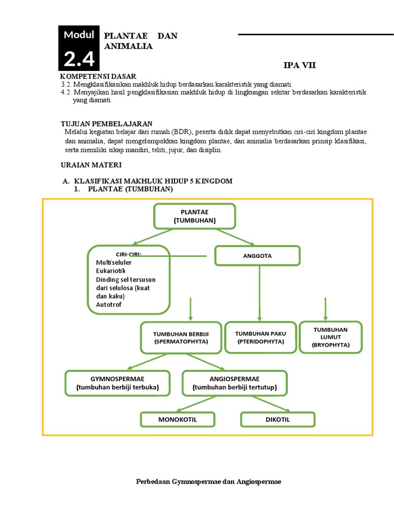 Klasifikasi Plantae dan Animalia | PDF