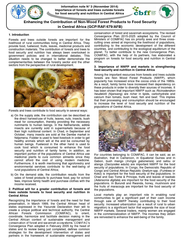 FAO-Information Note 3 - Importance of Forests and Trees Outside ...