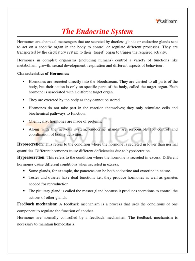 The Endocrine System | PDF | Hormone | Endocrine System