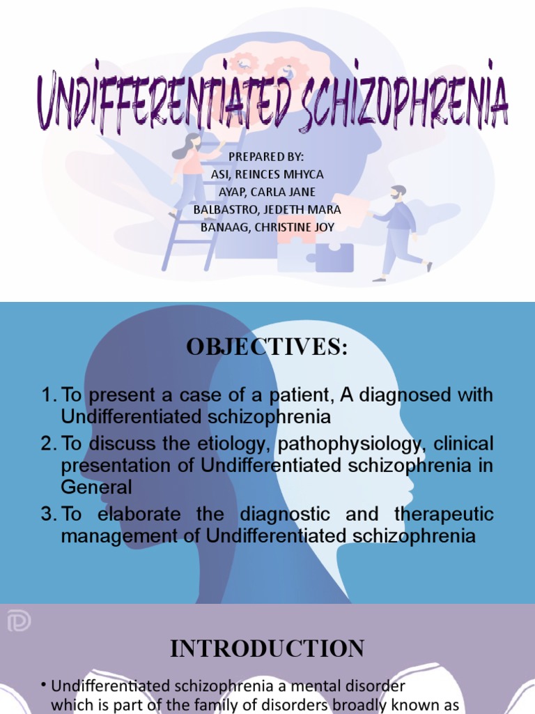 Undifferentiated Schizophrenia CASE STUDY | PDF | Schizophrenia ...