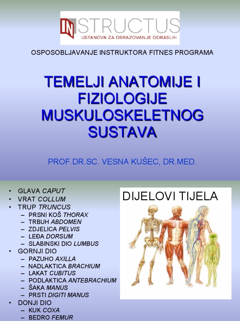 TEMELJI ANATOMIJE I FIZIOLOGIJE MUSKULOSKELETNOG SUSTAVA-in | PDF