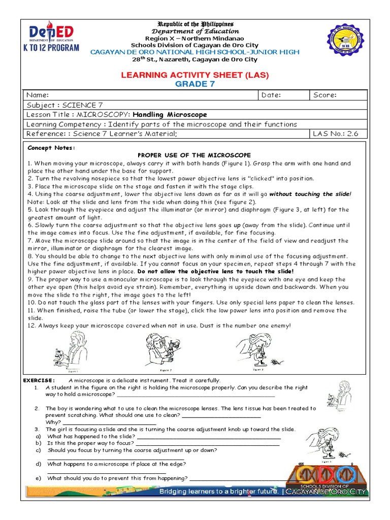 Learning Activity Sheet (Las) : Grade 7 | PDF | Microscope | Eye
