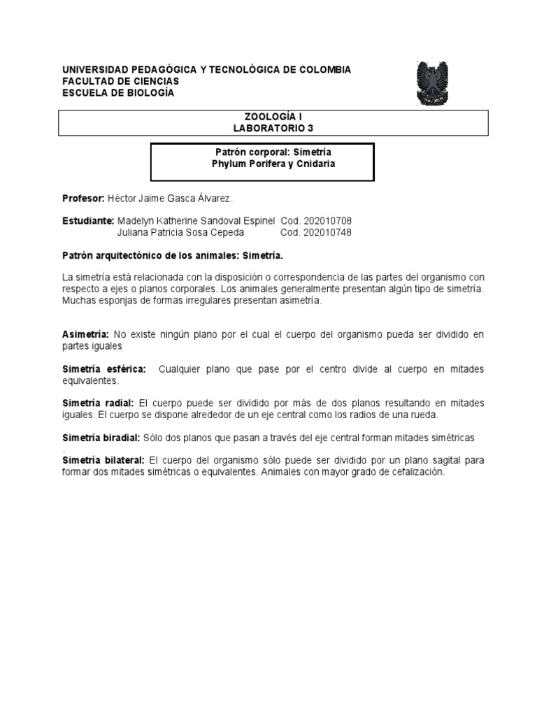 Laboratorio 3 - Madelyn Sandoval y Juliana Sosa | PDF | Esponja ...