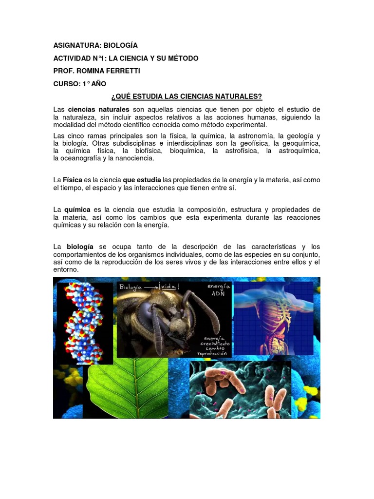 Actividad N° 1 - Las Ciencias Naturales y El Método Científico | PDF ...