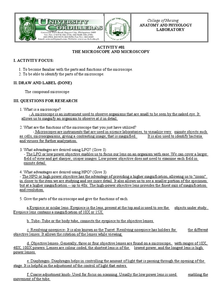 Activity 01 The Microscope and Micros | PDF | Microscope | Optical Devices