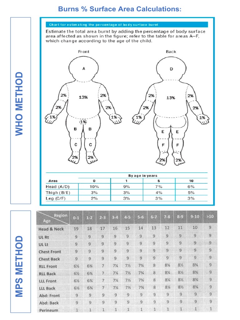 Burn Surface Area PDF | PDF