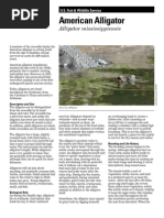 Average Weight of American Alligators | PDF | Pound (Mass) | Crocodile