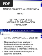NIF Serie B | Estado financiero | Contabilidad
