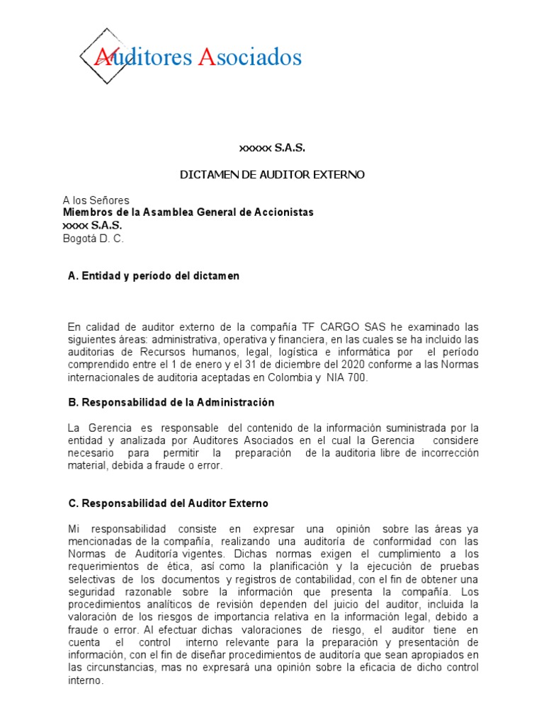 Dictamen de Auditor Externo | PDF | Auditoría | Contralor