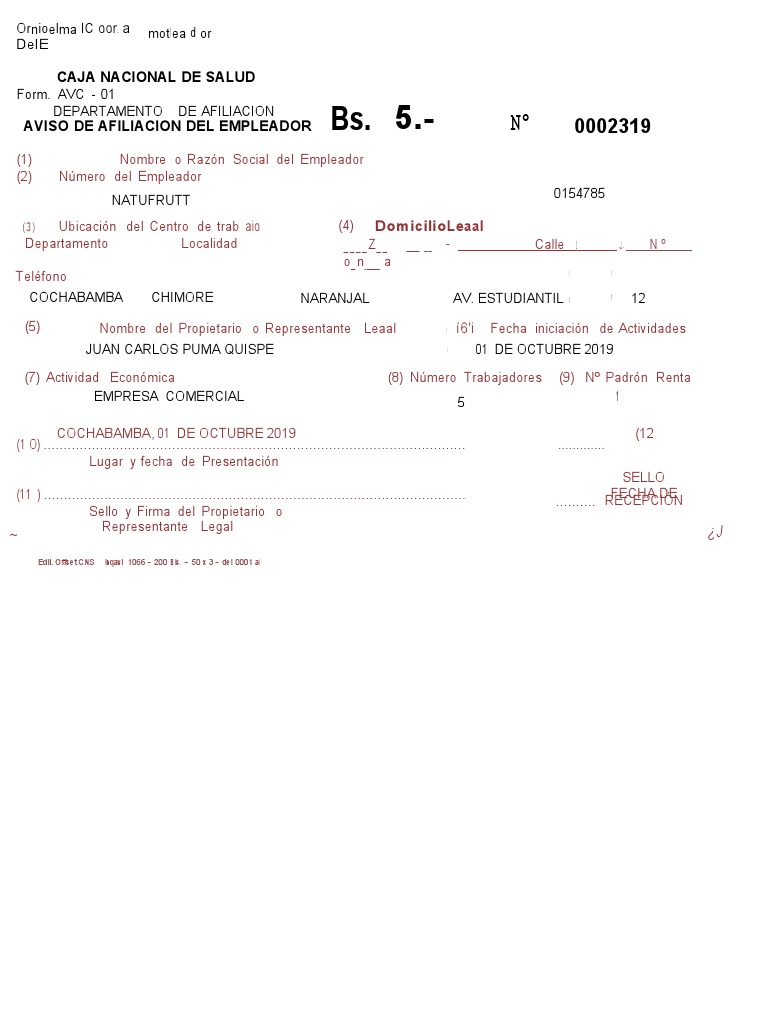 Formulario Avc 01 | PDF