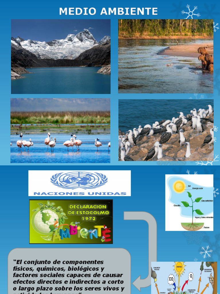 Medio Ambiente-Componentes | PDF