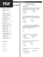 Trans Template | PDF | Arial | Typefaces