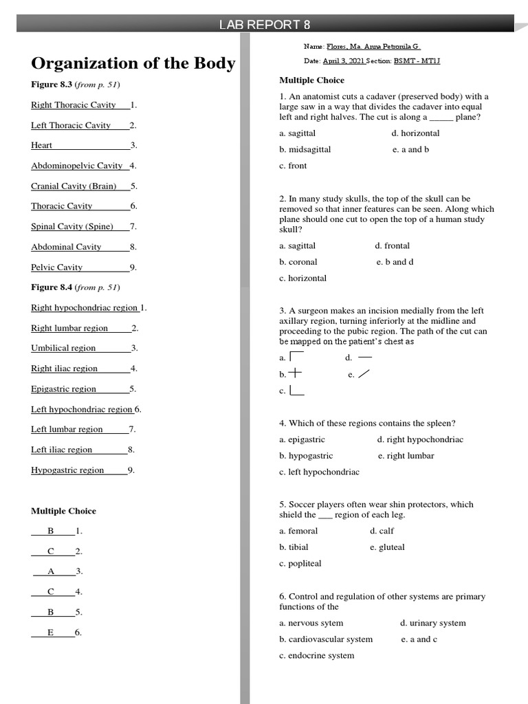 Organization of The Body: Lab Report 8 | PDF | Anatomical Terms Of ...