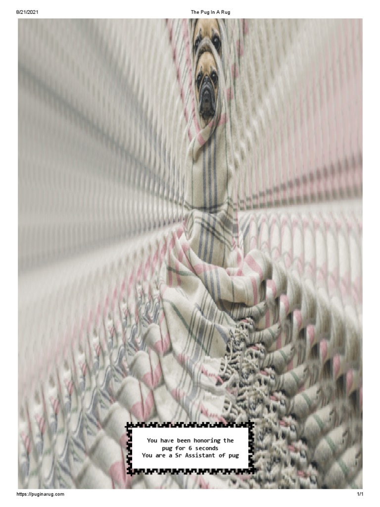 The Pug in A Rug | PDF