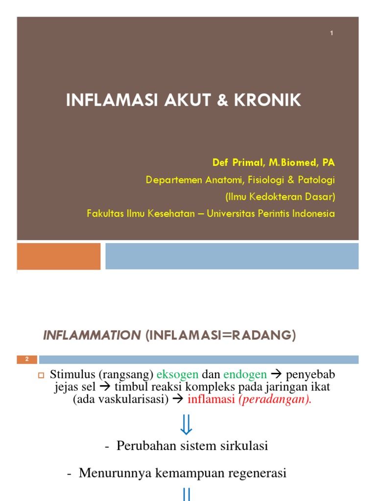 Inflamasi Akut Dan Kronis | PDF