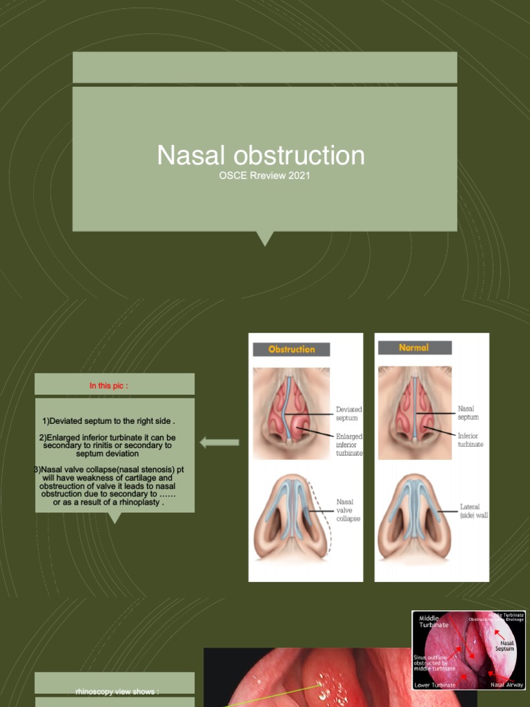 Practical | PDF | Human Nose | Neck
