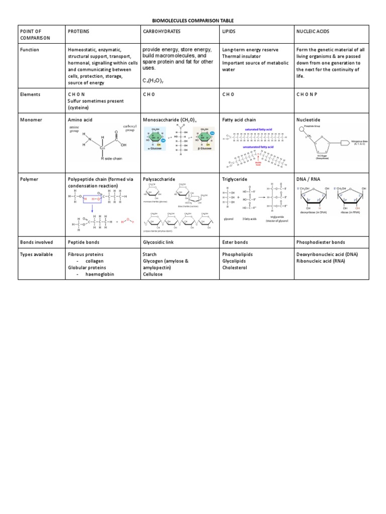 Biomolecules Table | PDF