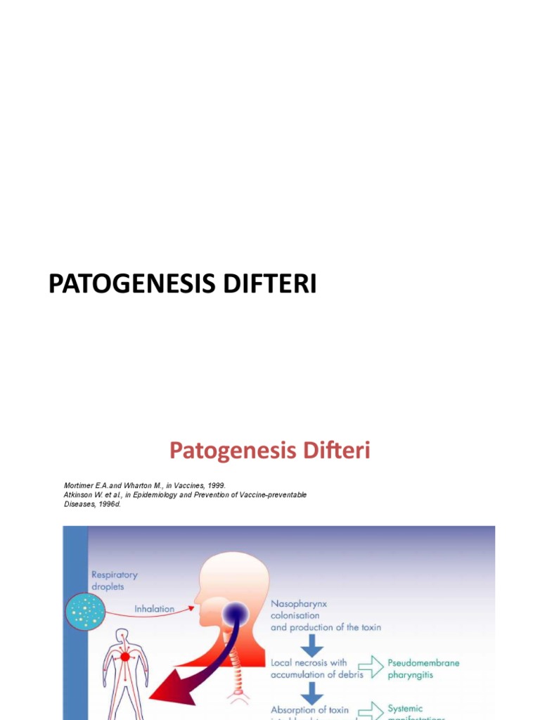 Patogenesis Difteri Overview | PDF