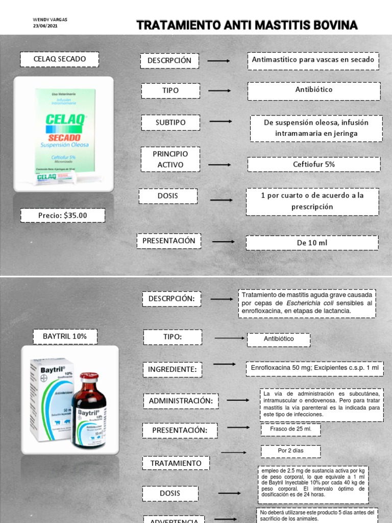 PDF - Tratamiento Antimastitis Wendy Vargas | PDF | Inyección (medicina ...