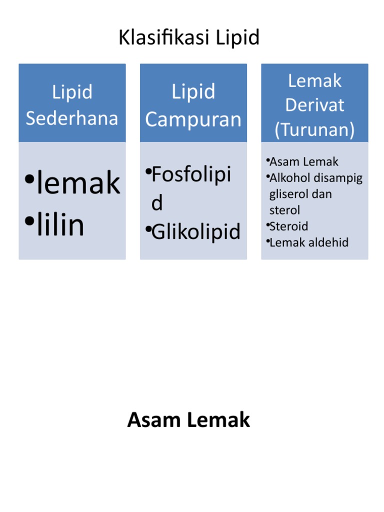 Struktur Lipid | PDF