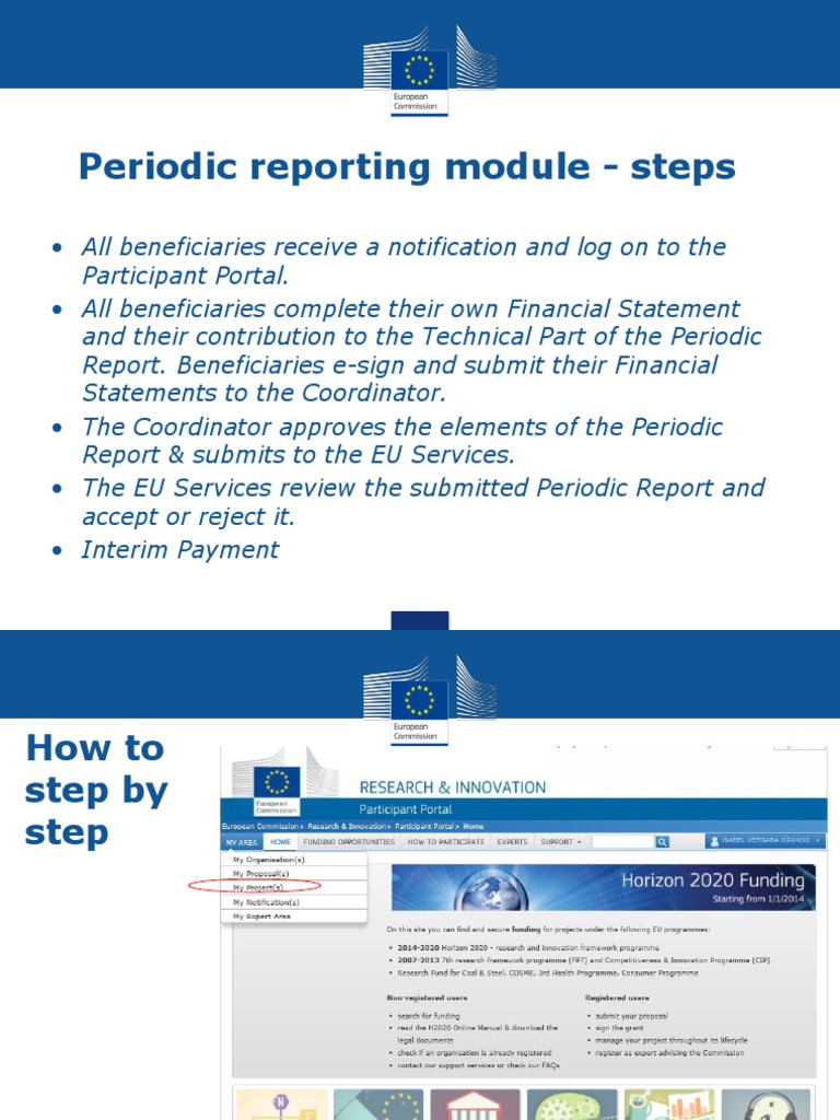 2 Periodic Reporting Module STEPS | PDF | Financial Statement | Computing