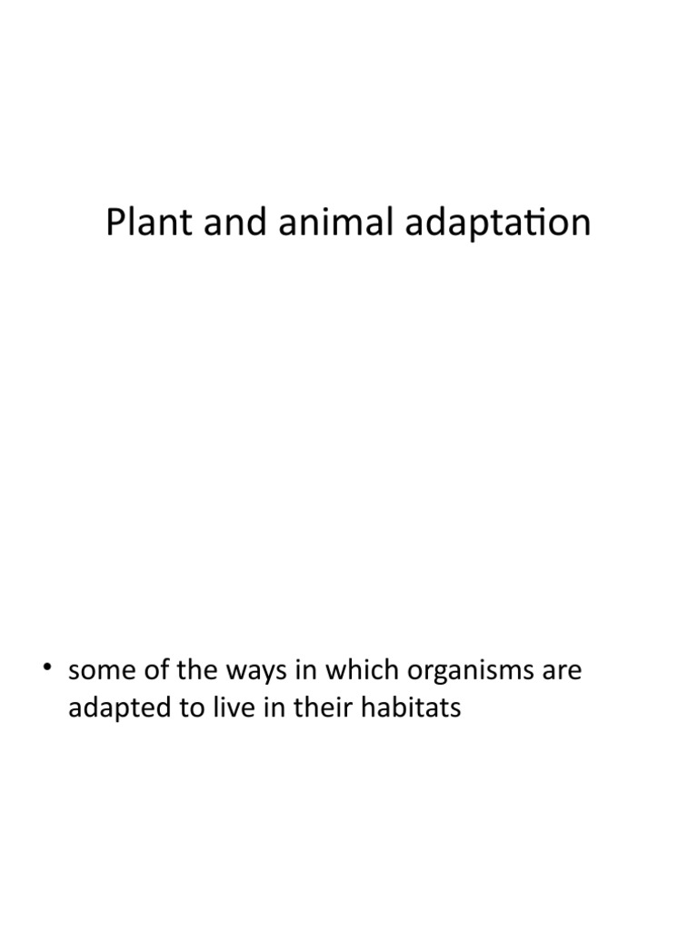 Adaptations for Survival: How Plants and Animals are Suited to Their ...