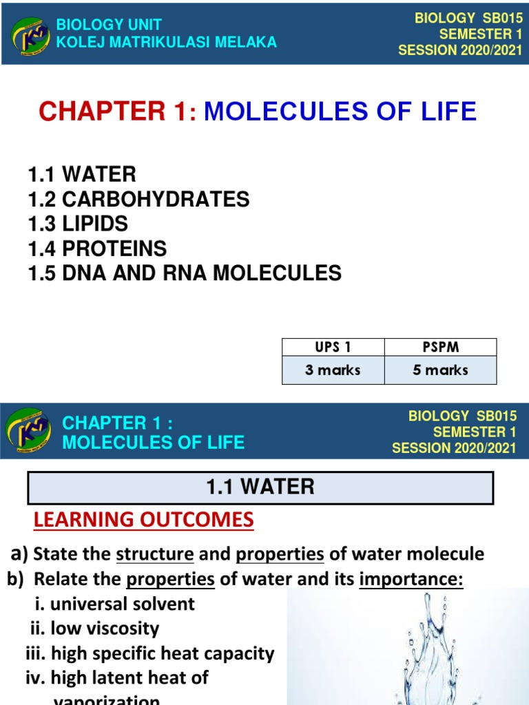 Molecules of Life: 1.1 WATER 1.2 Carbohydrates 1.3 Lipids 1.4 Proteins ...