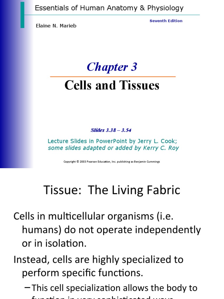 Anaphy - Chapter-3-Cells-andTissues | PDF | Epithelium | Connective Tissue