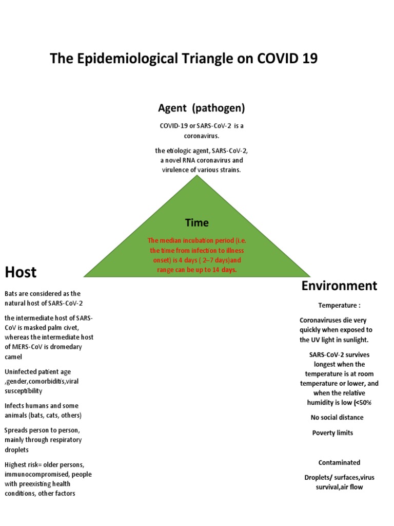The Epidemiological Triangle On COVID 19 | PDF | Immunology | Medicine