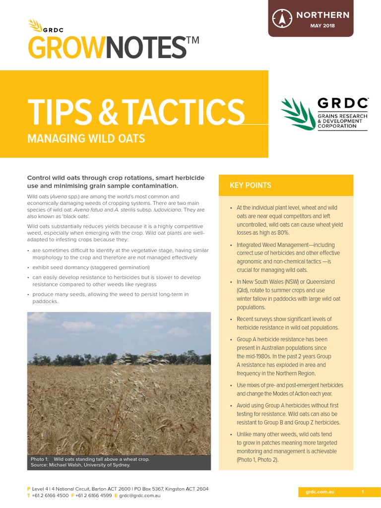 GRDC TT Managing Wild Oats | PDF | Herbicide | Agriculture