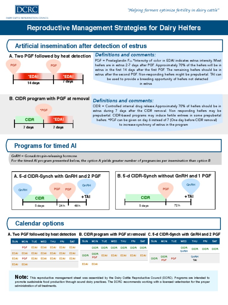 Dairy Heifer Protocol Sheet Updated 2018 | Download Free PDF | Cattle ...