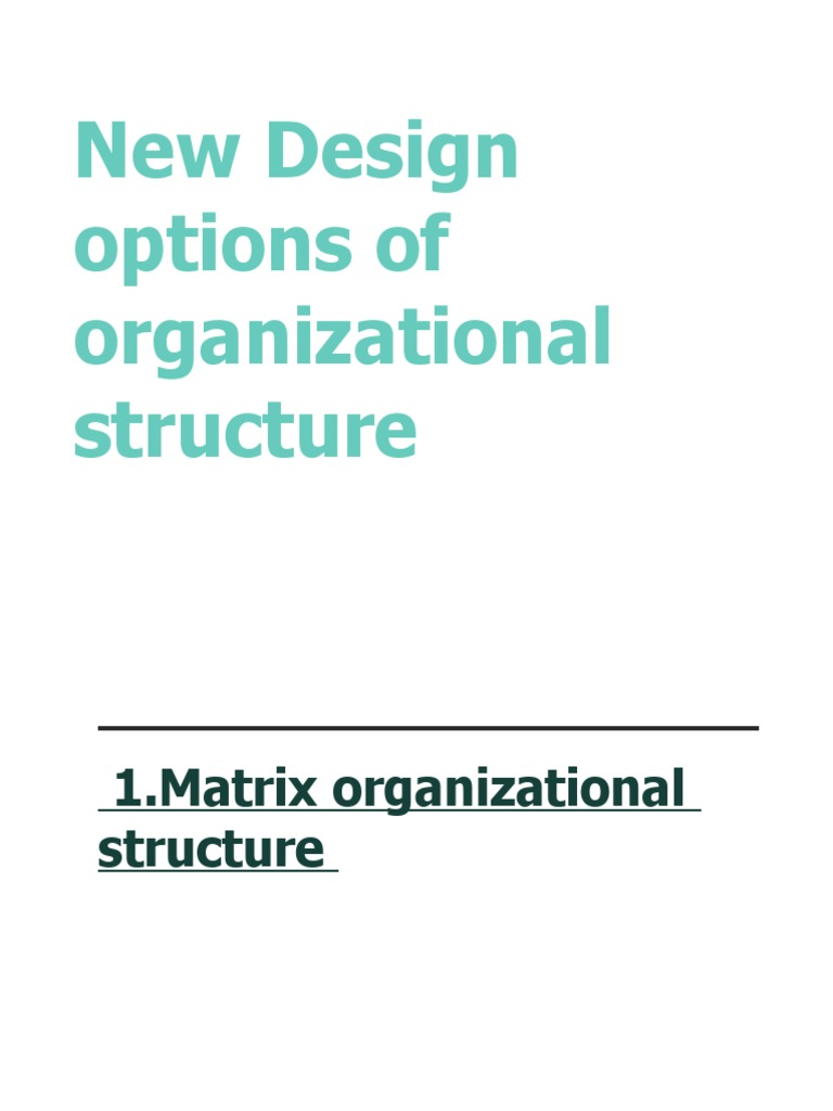 New Design Options of Organizational Structure | PDF