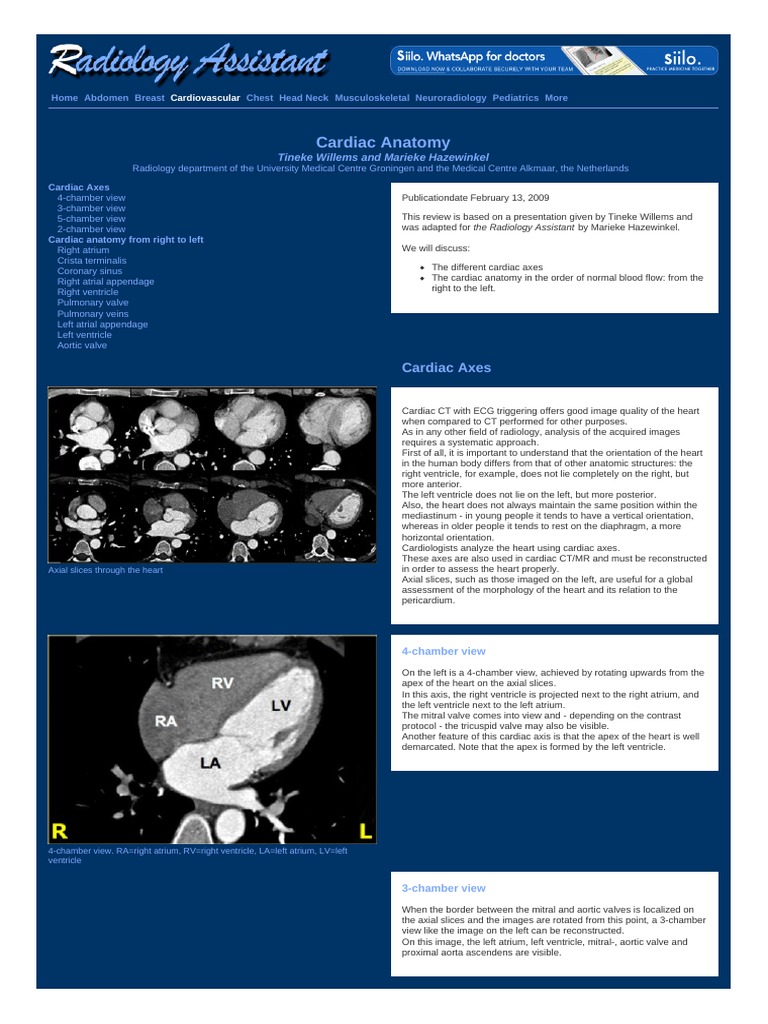 1-Cardiac Anatomy | PDF | Heart Valve | Atrium (Heart)