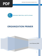 BSP Org Primer | PDF | Monetary Policy | Money Laundering