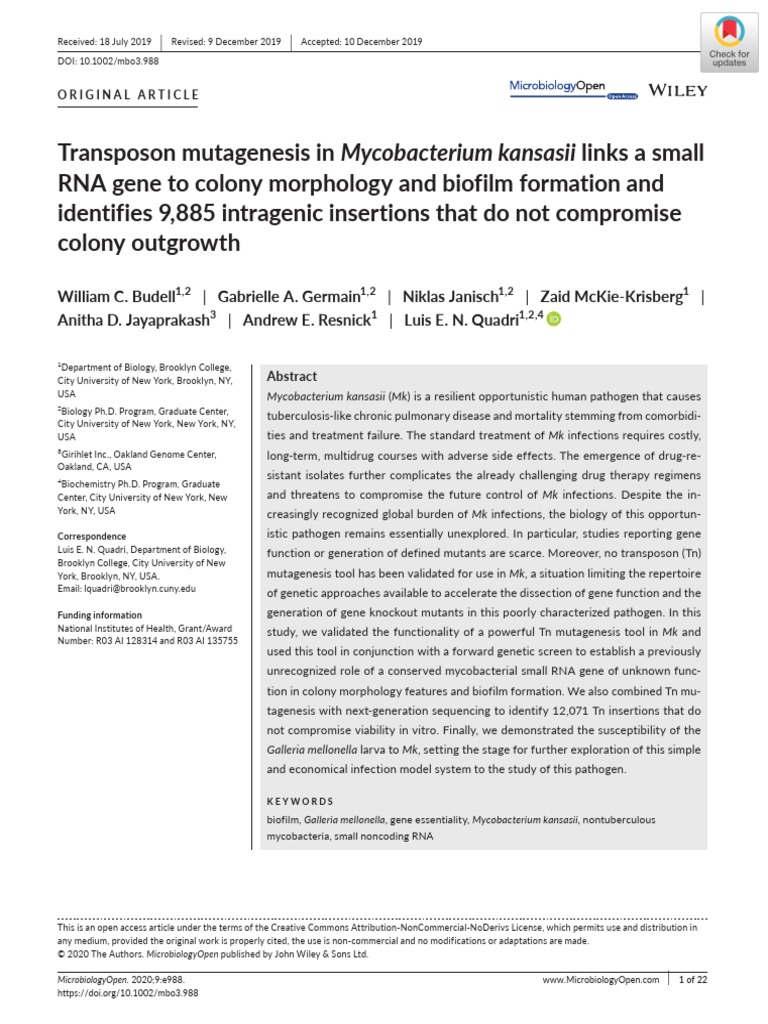 M.kansasii 2 | PDF | Gel Electrophoresis | Polymerase Chain Reaction
