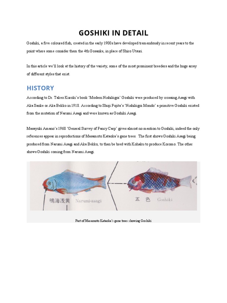 Goshiki in Detail | PDF | Fishkeeping | Fish And Humans
