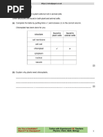 Cambridge Lower Secondary Checkpoint Past Papers | PDF | Computer File ...