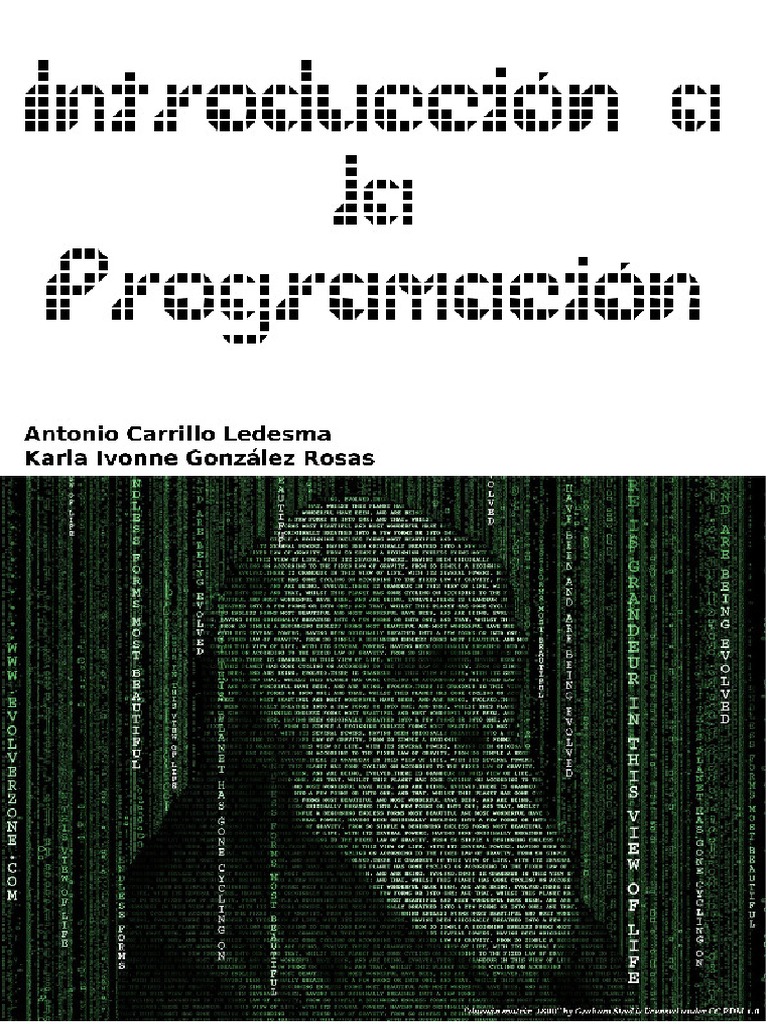 UNAM IntroduccionALaProgramacion | PDF | Lenguaje de programación ...