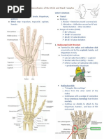 Joint Capsular Patterns | PDF | Anatomical Terms Of Motion ...