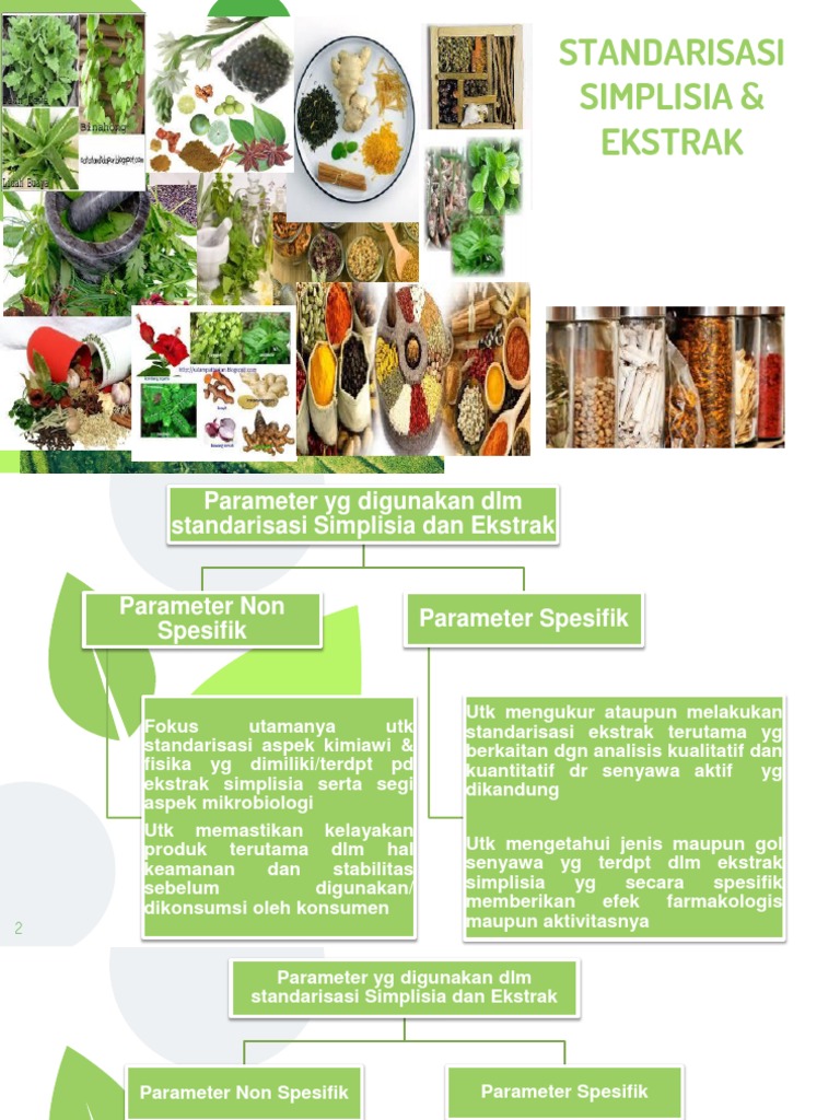 Standarisasi Simplisia Dan Ekstrak (Parameter Spesifik) | PDF