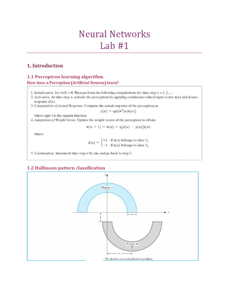 Neural Networks Lab #1: 1.1 Perceptron Learning Algorithm | Download ...