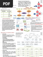 Hospital Design: Flow Chart of Departments | PDF | Neonatal Intensive ...