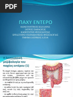 TO ΟΥΡΟΠΟΙΗΤΙΚΟ ΣΥΣΤΗΜΑ-ΑΝΑΤΟΜΙΑ | PDF