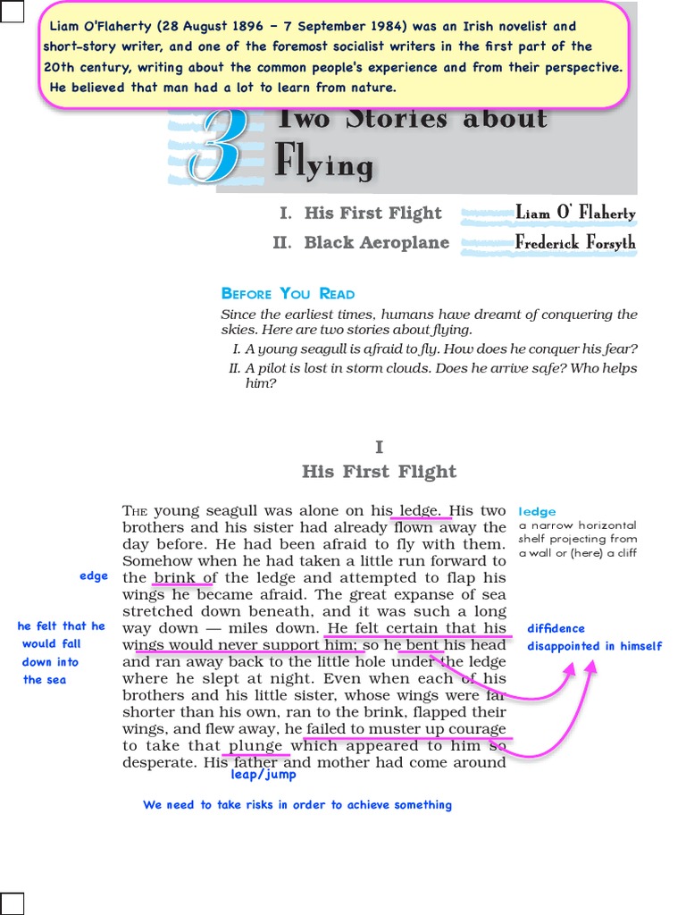 C - Two Stories About Flying TEXT | PDF | Airplane