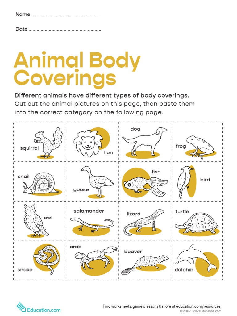 Animal Body Coverings | PDF